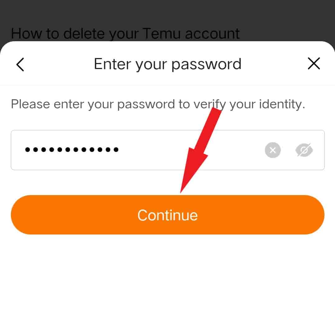 How to Delete Temu Account?: 6 Easy Steps - DeleteMaster
